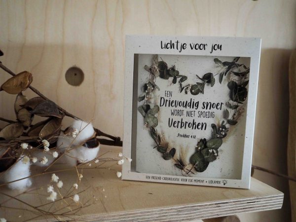 Een drievoudig snoer wordt niet spoedig verbroken - Lichtje voor jou ...